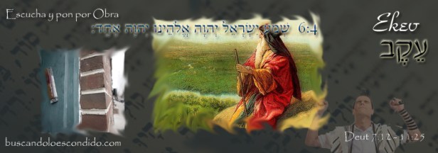 46. Ekeb Deut 7-12 a 11-25 Maravillas Escondidas en la Torah – Buscando ...