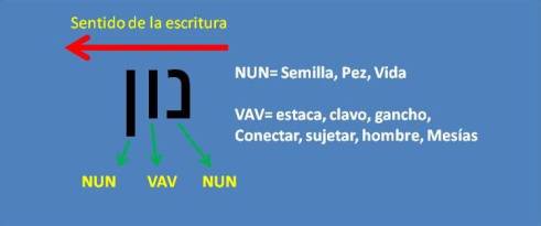 NUN- Alfabeto Hebreo – 50 – Buscando lo Escondido
